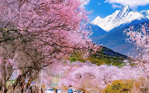 Nyingchi Tour & Travel Guide, Travel to Nyingchi, Eastern Tibet Tour ...