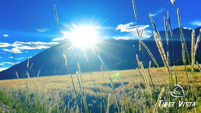 How the Climate of Tibet Affects Agriculture in a Different Way?