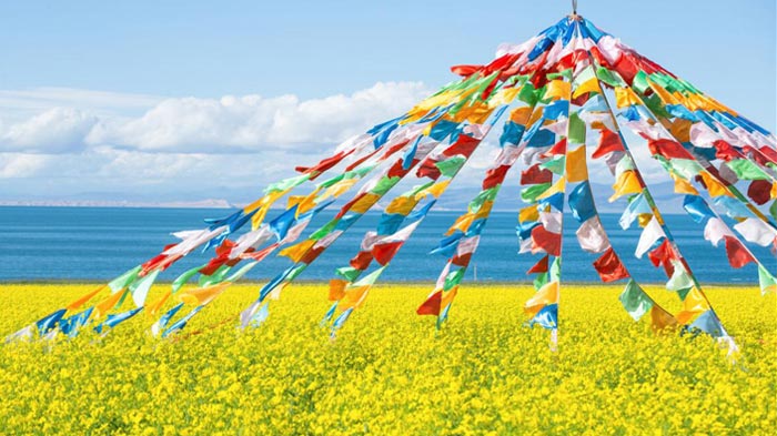 Qinghai Tibet Plateau: Where's Qinghai Tibet Plateau and What are the ...