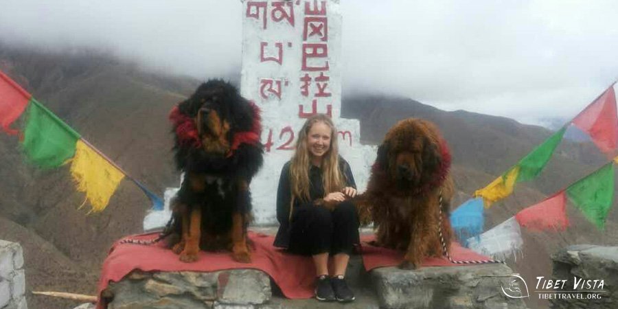 Discovering Tibet's Culture: An Enriching Travel from Lhasa to Shannan